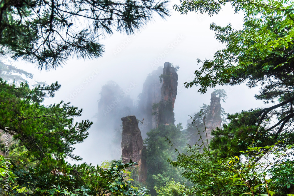 View through the forest of Hallelujah mountains or Avatar mountains in ...