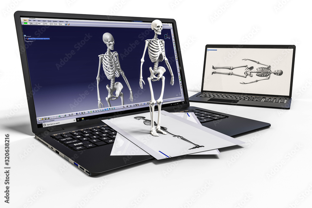 3D rendering representing a computer aided design of a human skeleton ...