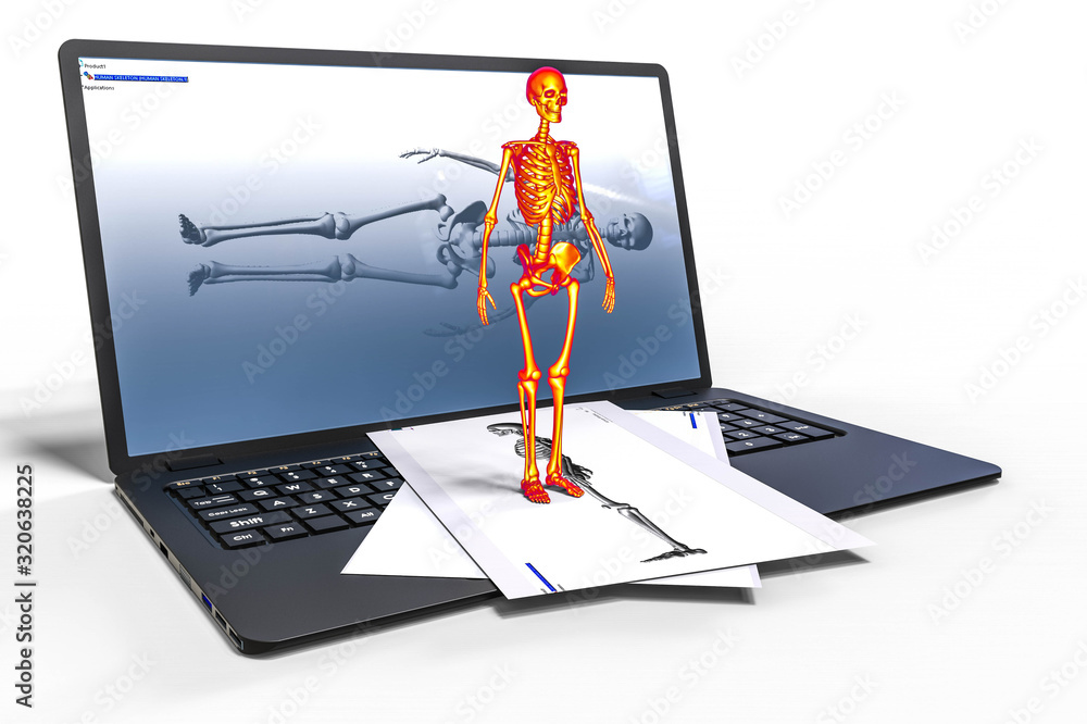 3D rendering representing a computer aided design of a human skeleton ...