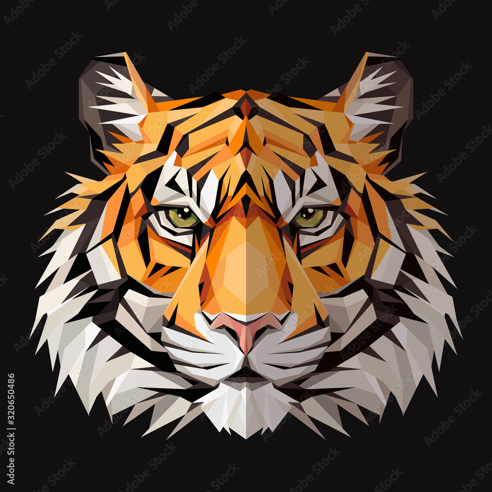 Tiger low poly triangular design. Triangle vector illustration isolated ...