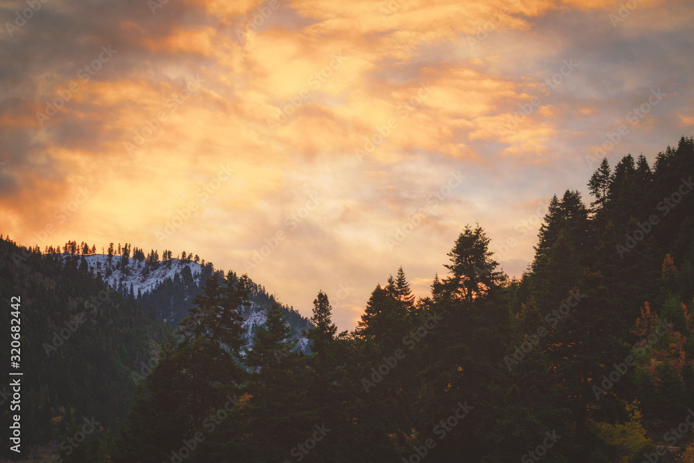Burning sunrise that took place on a silhouette of a forest with fir ...