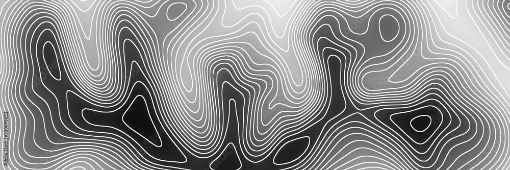 Imitation of a geographical map, white lines on black background ...