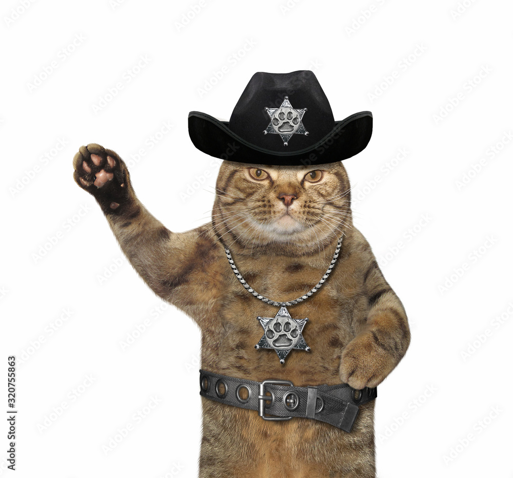 The beige cat policeman is wearing in a black cowboy hat, a police ...