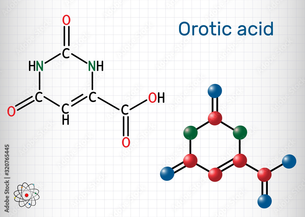 Orotic acid molecule. It is a pyrimidinedione and a carboxylic acid ...