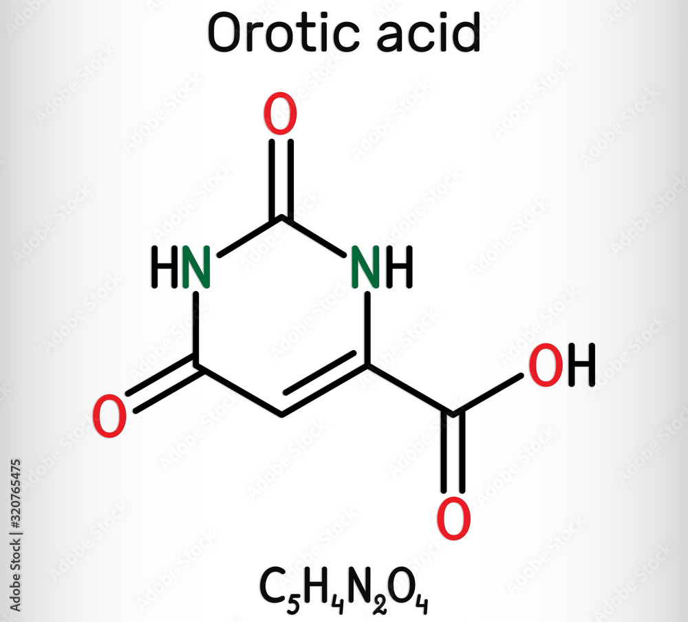 Orotic acid molecule. It is a pyrimidinedione and a carboxylic acid ...
