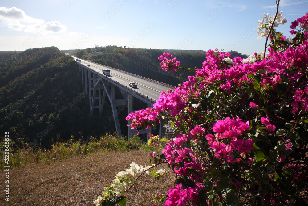Bacunayagua bridge — the highest bridge in Cuba Stock Photo | Adobe Stock