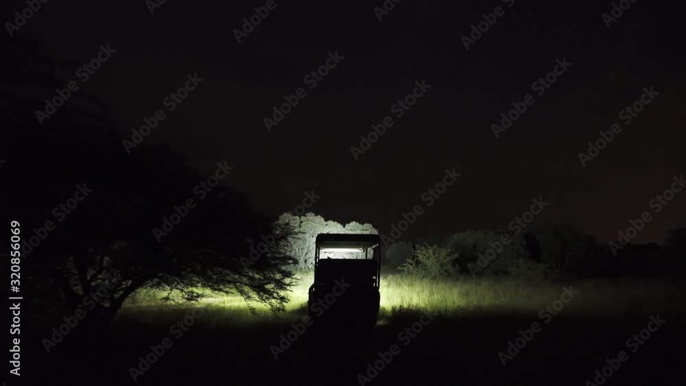 Night safari driver of a land Cruiser navigates through trees in ...