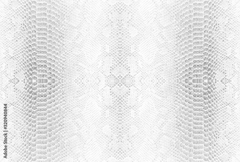 Skin snake background White snake skin texture Close-up Stock Photo ...