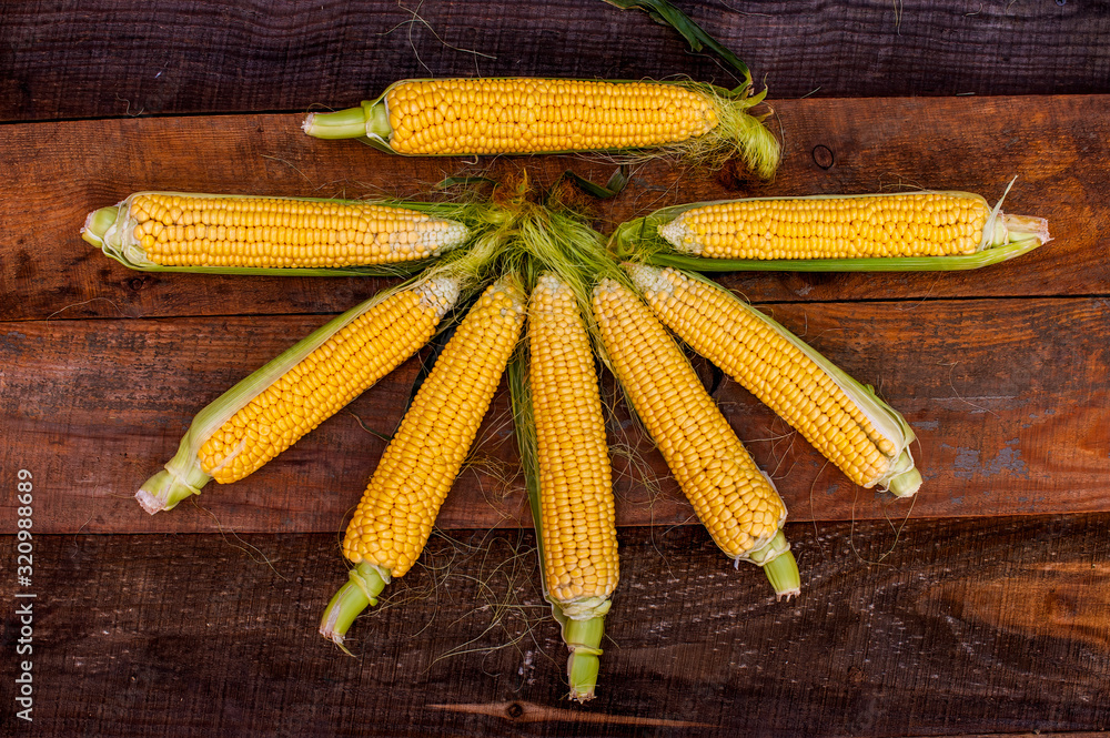 Young corn dairy ripeness, food varieties grown on an ecological farm ...