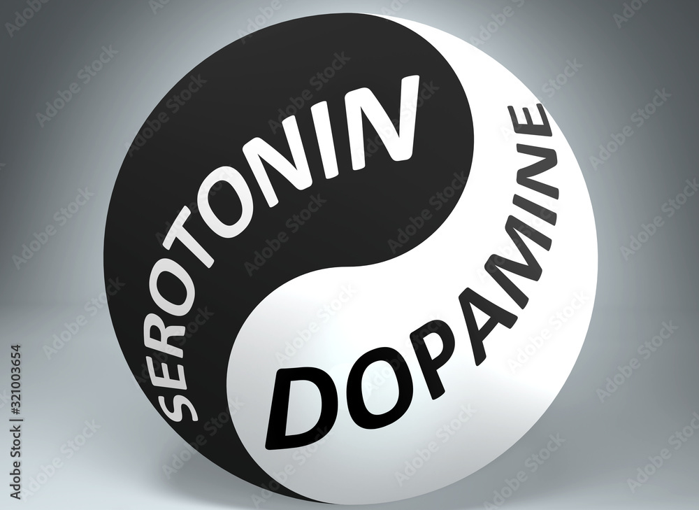 Serotonin and dopamine in balance - pictured as words Serotonin ... Serotonin and dopamine in balance - pictured as words Serotonin ...