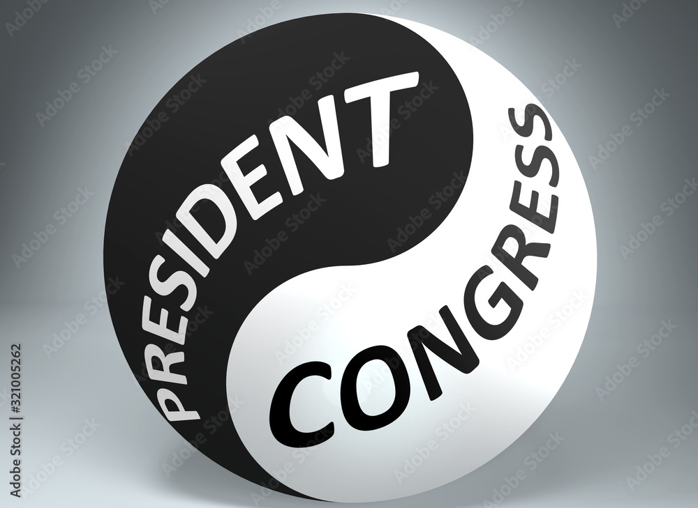President and congress in balance - pictured as words President ...