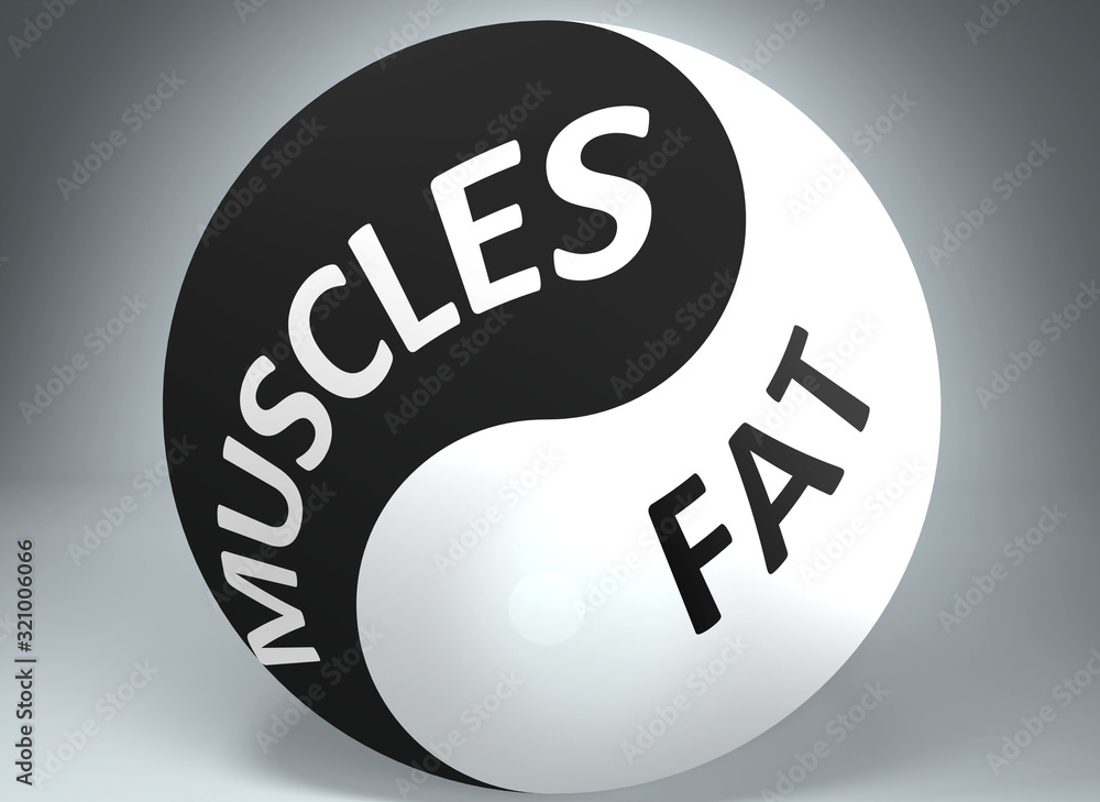 Muscles and fat in balance - pictured as words Muscles, fat and yin ...