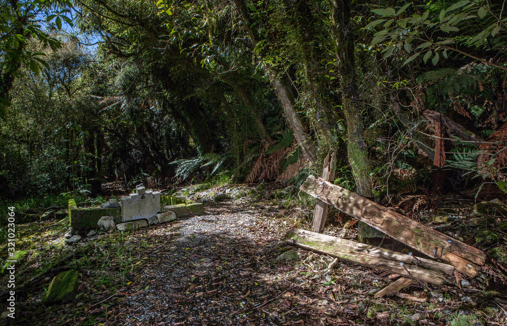 Jackson Bay. Historic cemetry. Graveyard. Wooden cross. Thombstone. Stock Photo | Adobe Stock