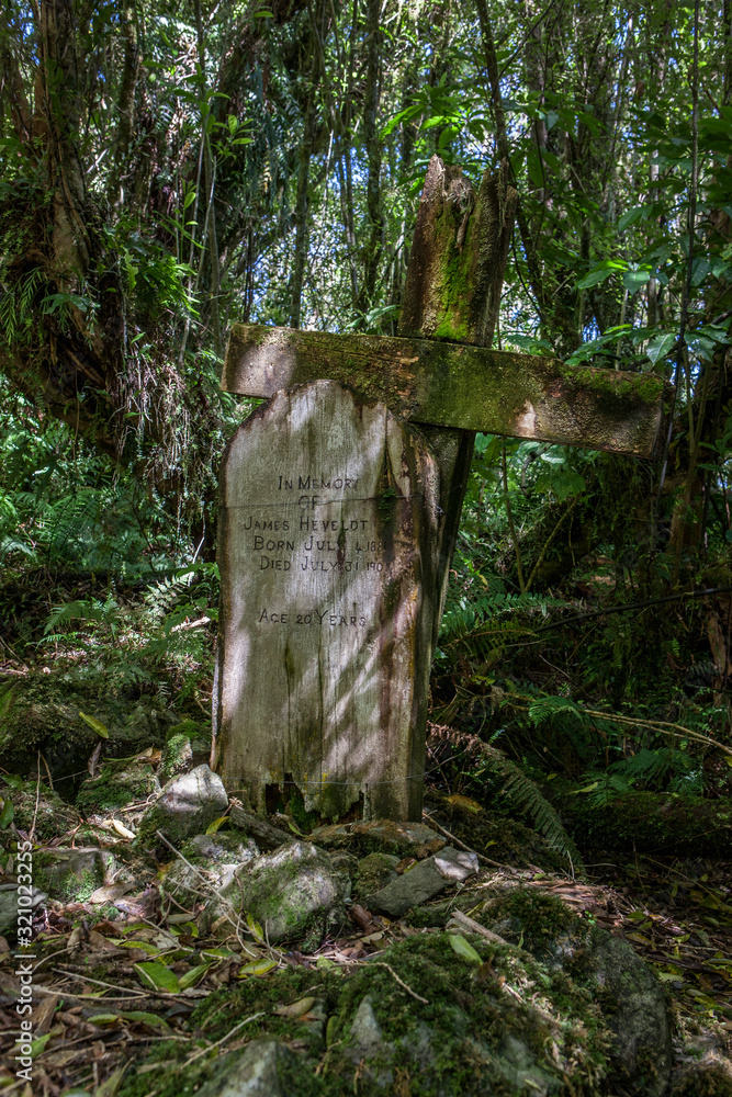 Jackson Bay. Historic cemetry. Graveyard. Wooden cross. Thombstone. Stock Photo | Adobe Stock