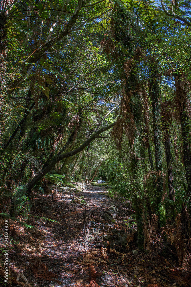 Jackson Bay. Historic cemetry. Graveyard. Wooden cross. Thombstone. Stock Photo | Adobe Stock