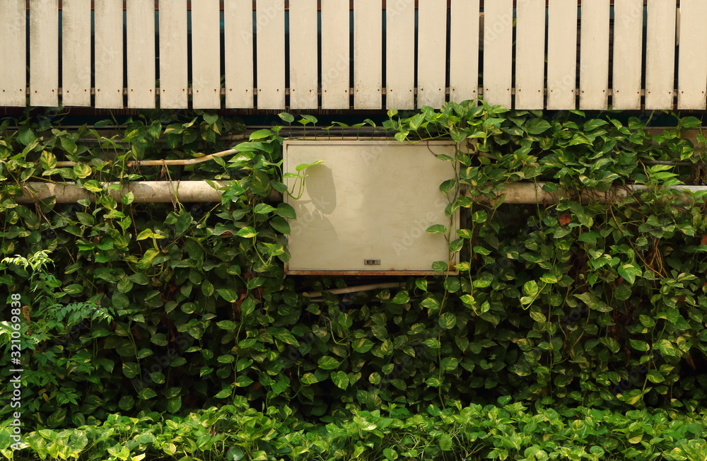 Telephone exchange box connected to electrical conduit installing on ...