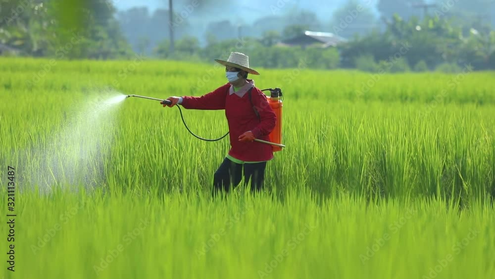 Farmers are spraying chemicals on the farm.Agriculture uses chemicals ...