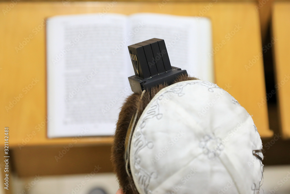 Tefillin Parchment