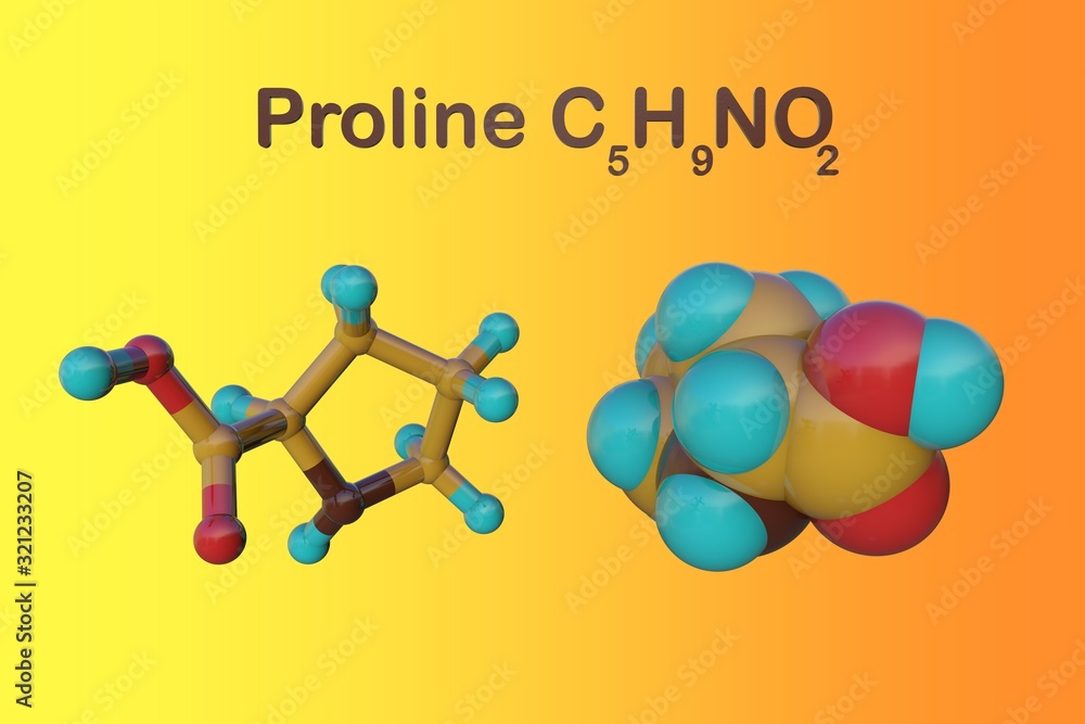 Structural chemical formula and molecular model of proline. Proline is ...