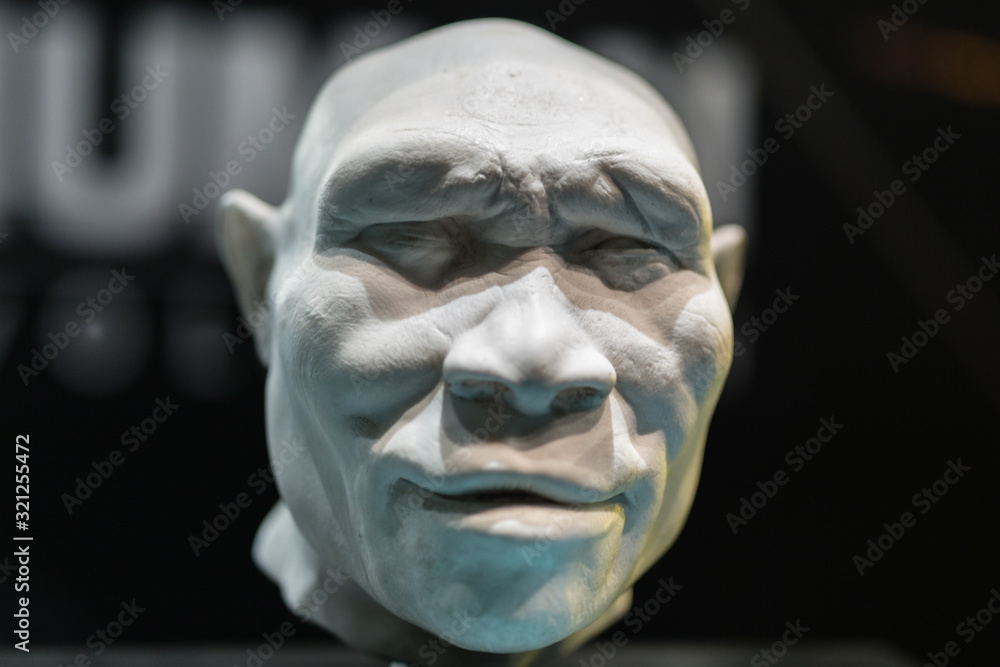 Homo Erectus Reconstruction