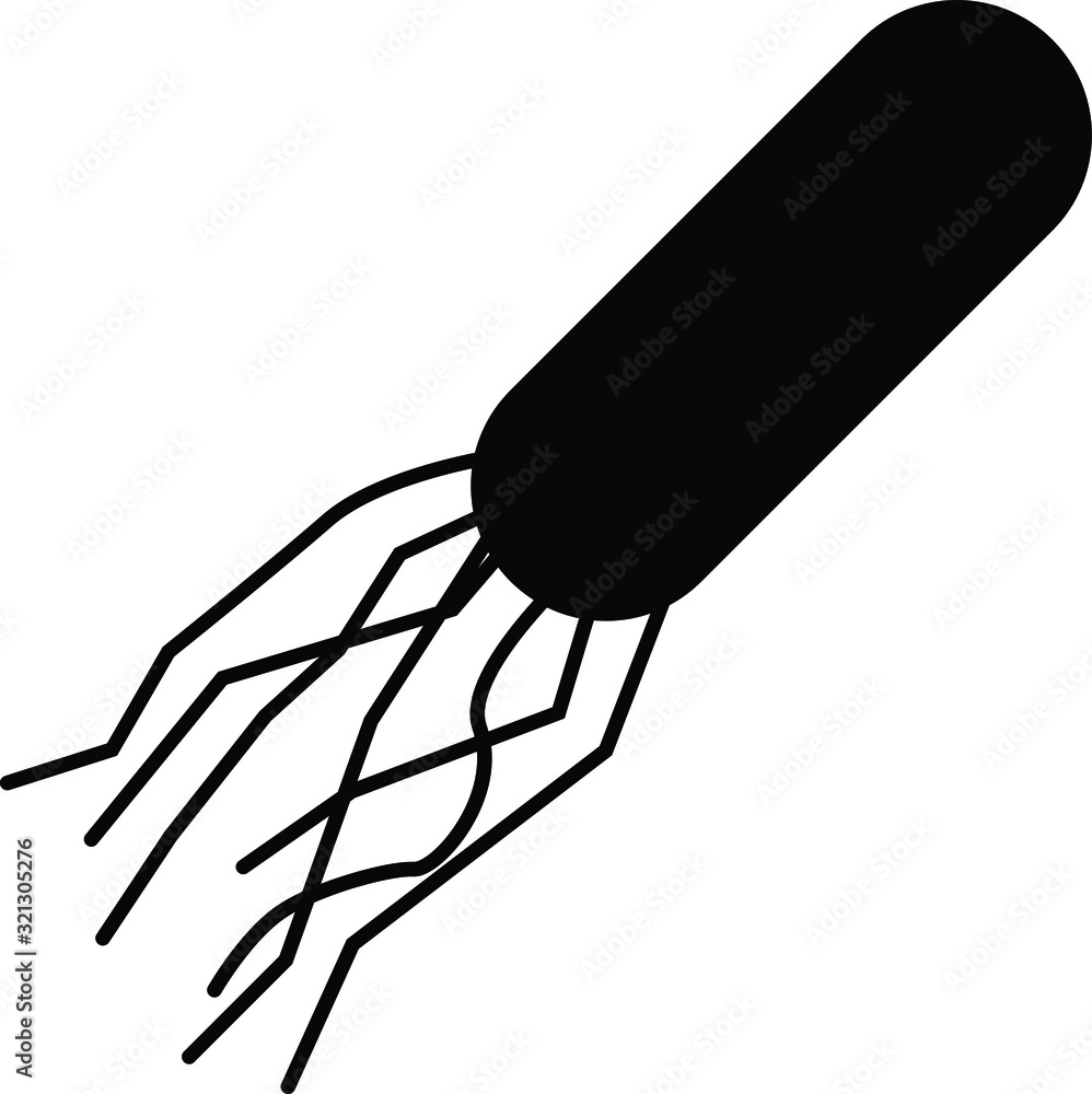 escherichia coli icon Stock Vector | Adobe Stock