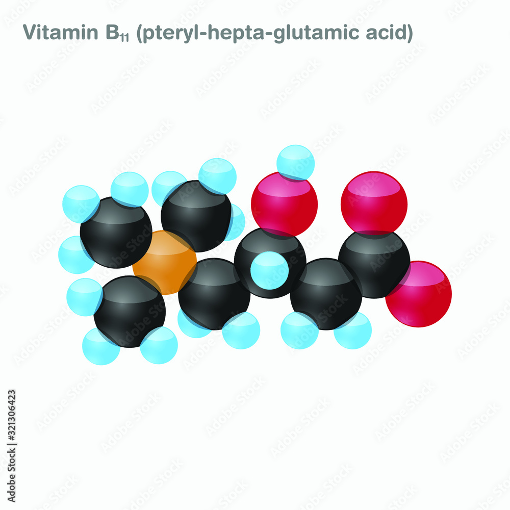 The molecule of vitamin B11 (pteryl-hepta-glutamic acid). Vector ...