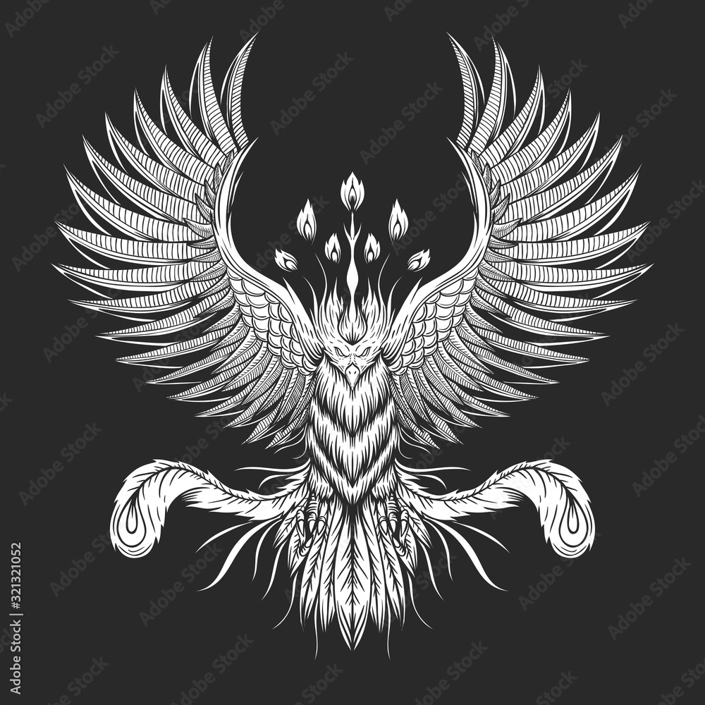 Phoenix Bird vector illustration Stock Vector | Adobe Stock
