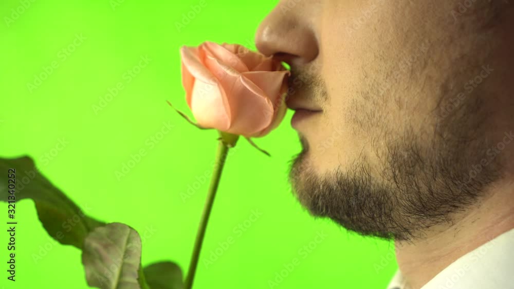 Close-Up Face Men Sniffing A Rose On Green Screen Background. Side view ...