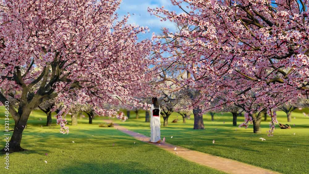 One asian girl in traditional japanese kimono among lush blooming ...