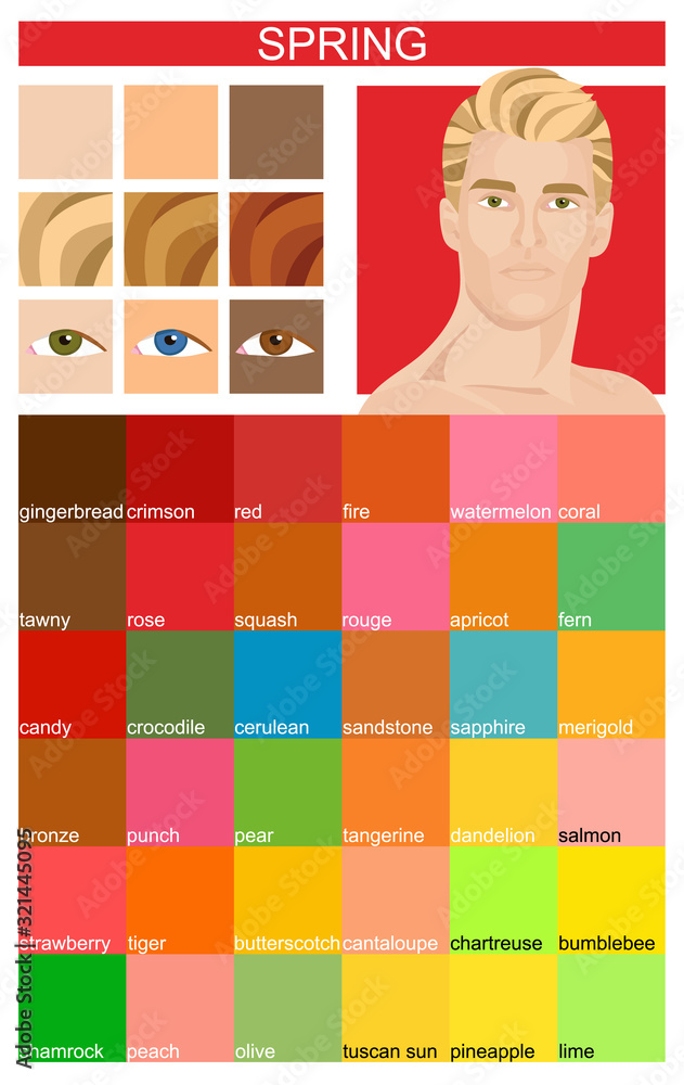 Stock vector color guide with color names. Eyes, skin, hair color ...