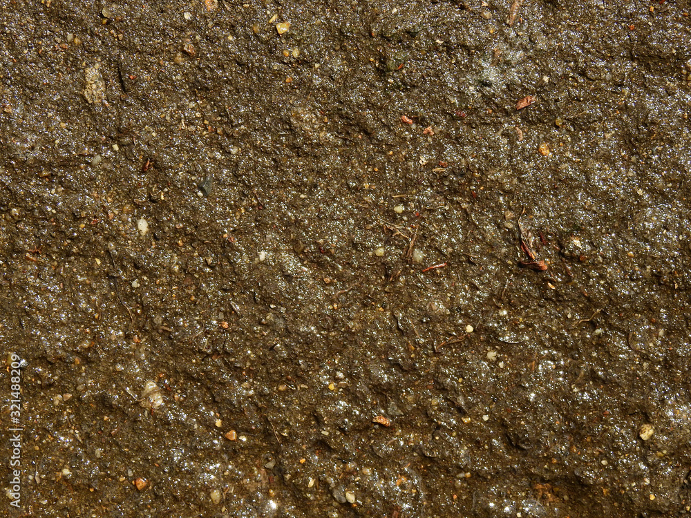 wet dirt ground texture Stock Photo | Adobe Stock