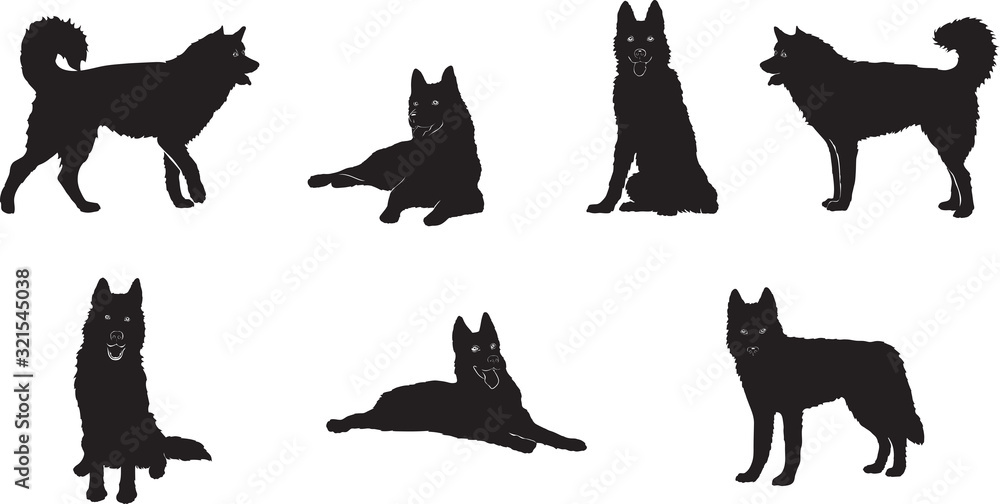 husky, dog, husky figure, various poses, illustration, vector ...