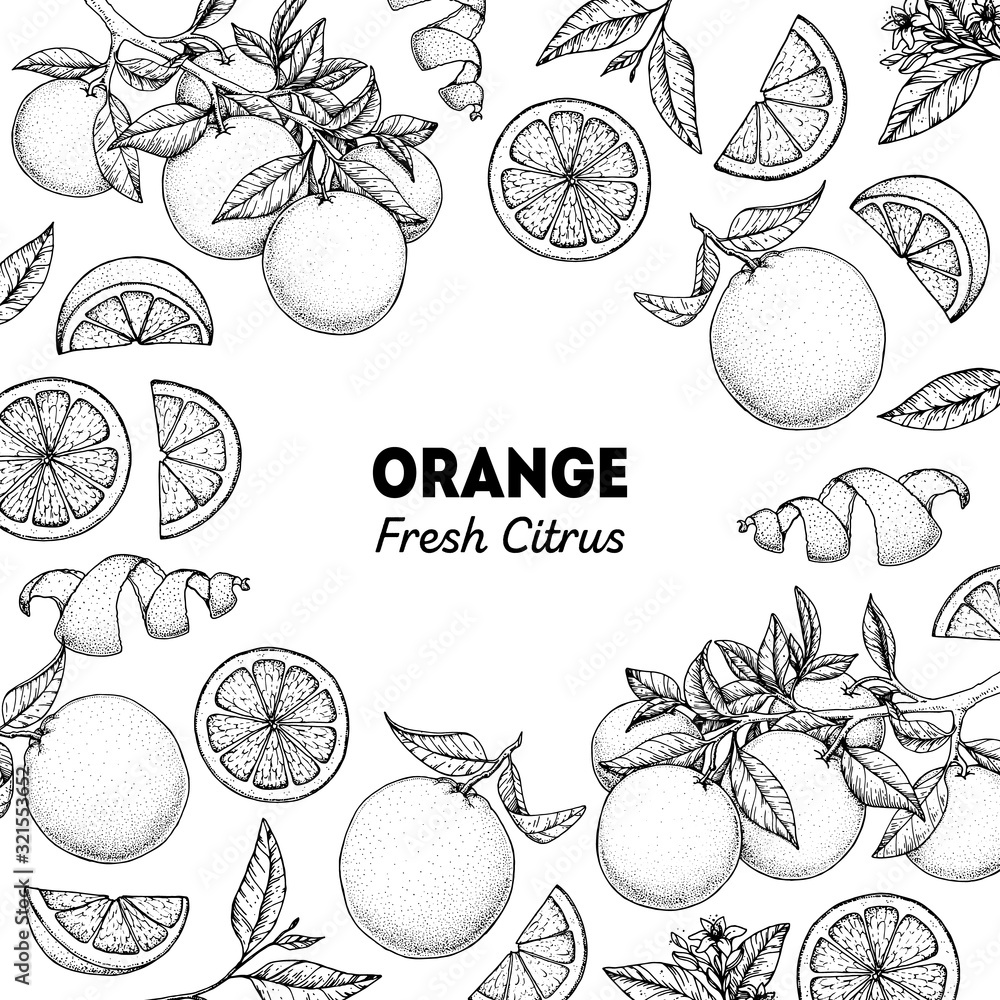 Orange hand drawn package design. Vector illustration. Orange sketch ...