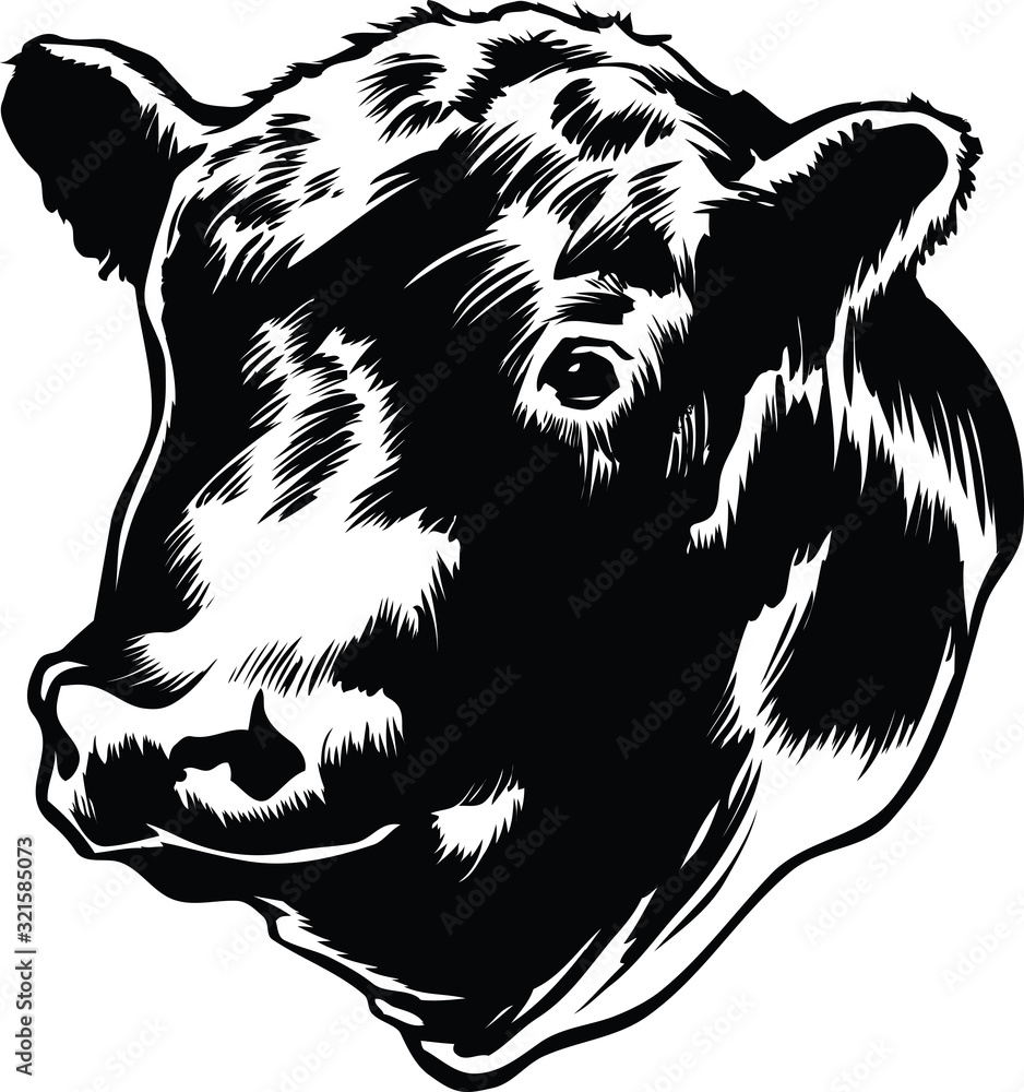 Bull Head Vector Illustration Stock Vector | Adobe Stock