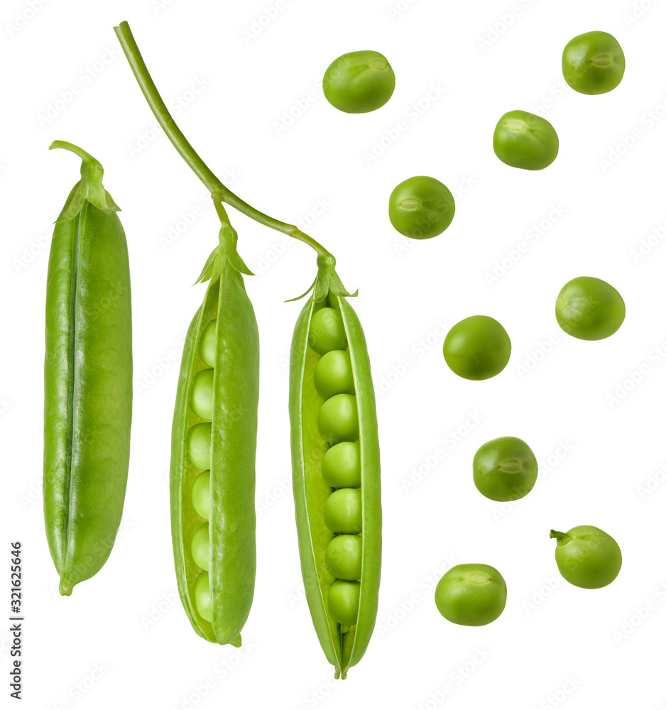 Pea isolated. Green fresh raw peas open pod with beans on stem isolated ...