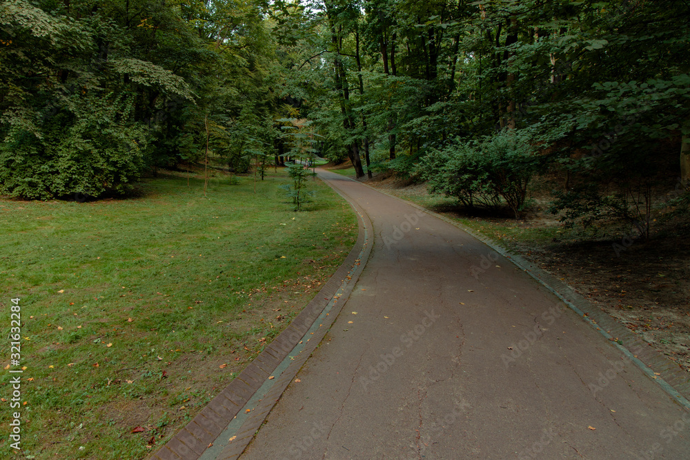 park outdoor nature environment road textured asphalt surface path way ...