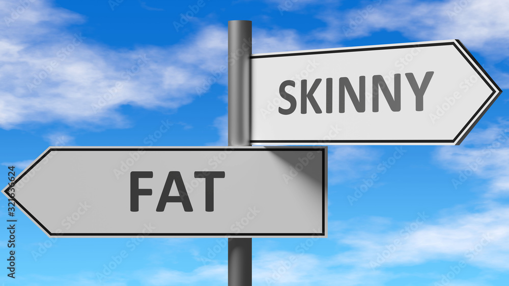 Fat and skinny as a choice - pictured as words Fat, skinny on road ...