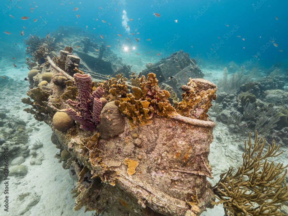Diver and ship wreck "Tugboat Saba" in shallow water of coral reef in ...