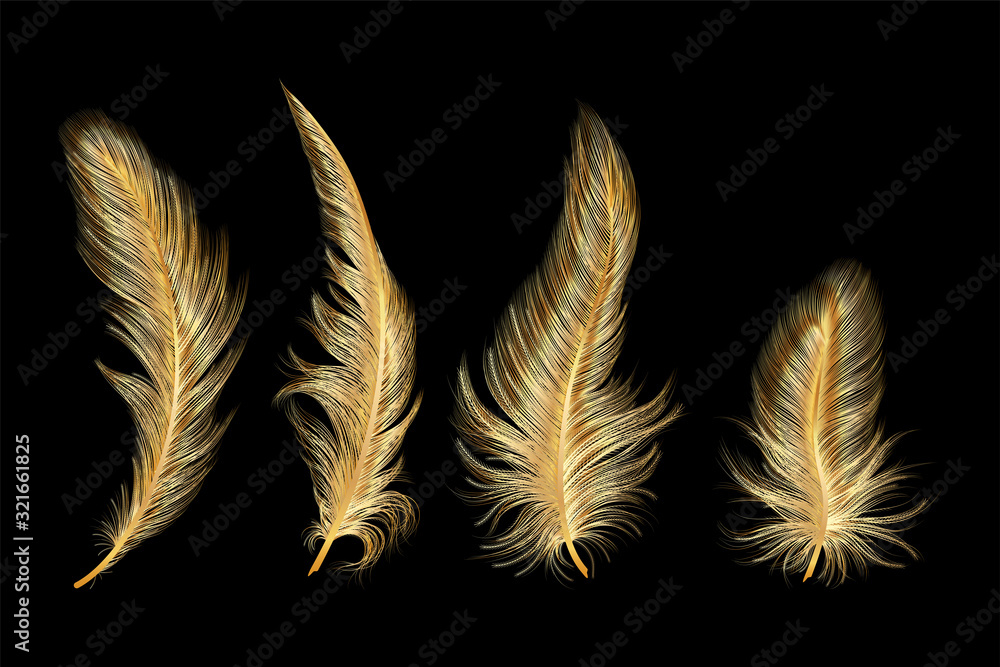Set of gold feather. Vector illustration. Stock Vector | Adobe Stock