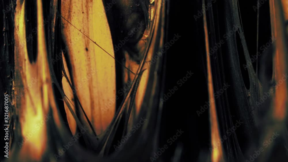 Stretching and rupture of ligaments and tendons during prolonged muscle ...