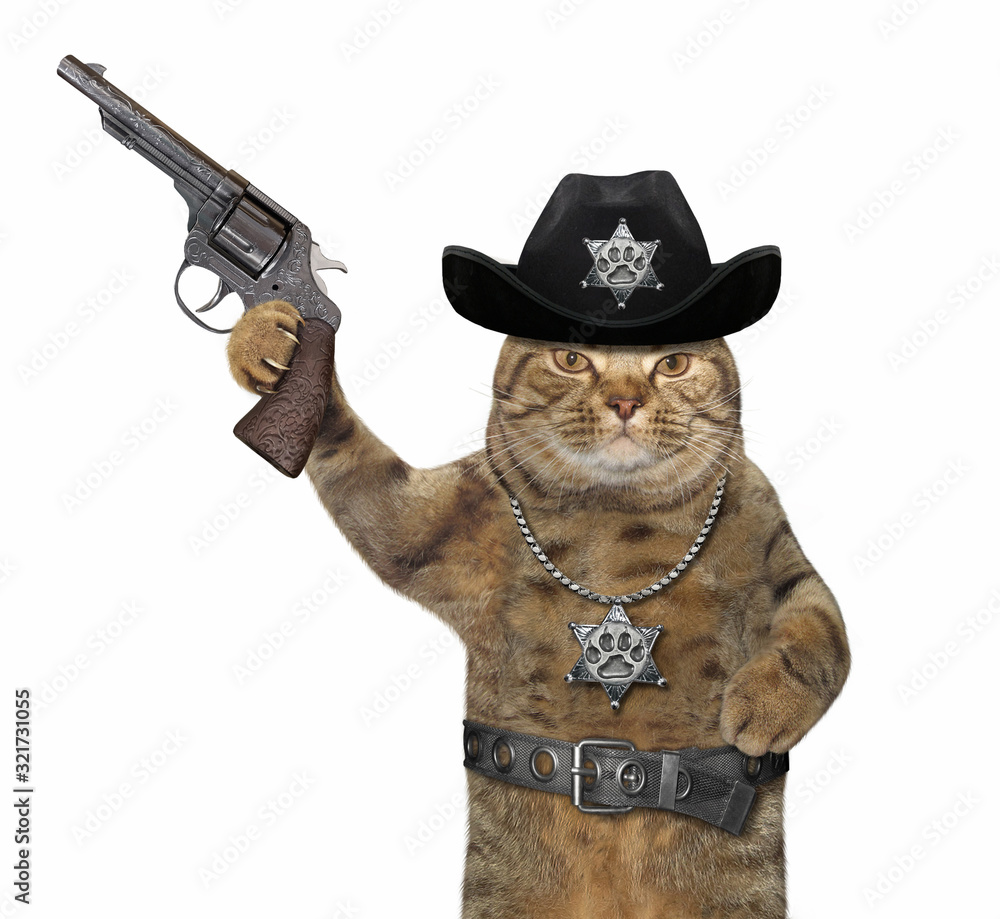 The beige cat policeman is wearing in a black cowboy hat, a police ...
