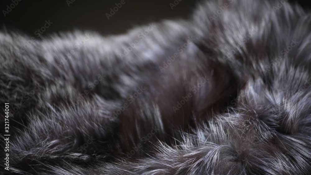 Real silver fox Fur background. Gray with black Fur clothes texture ...