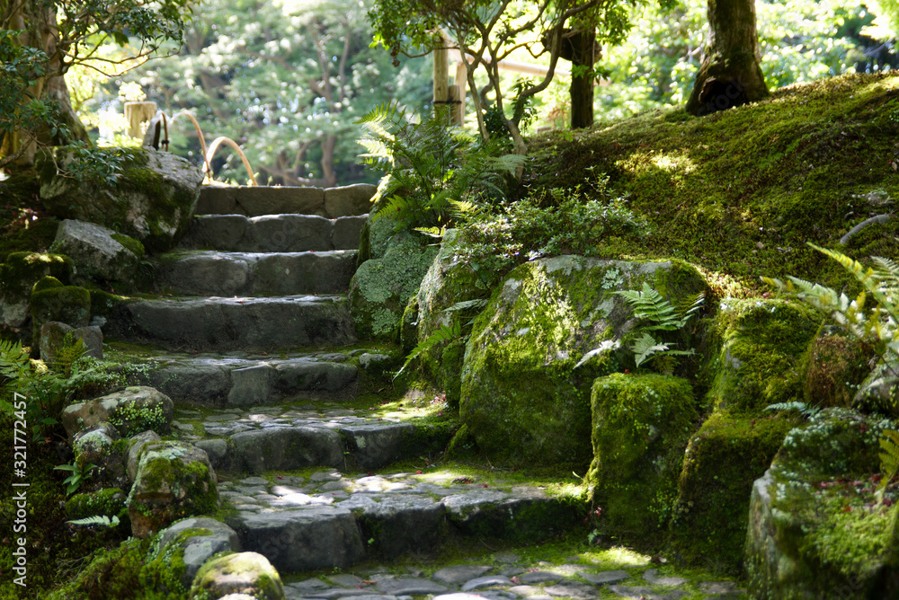 Moss covered stairs in brightly lit garden Stock Photo | Adobe Stock