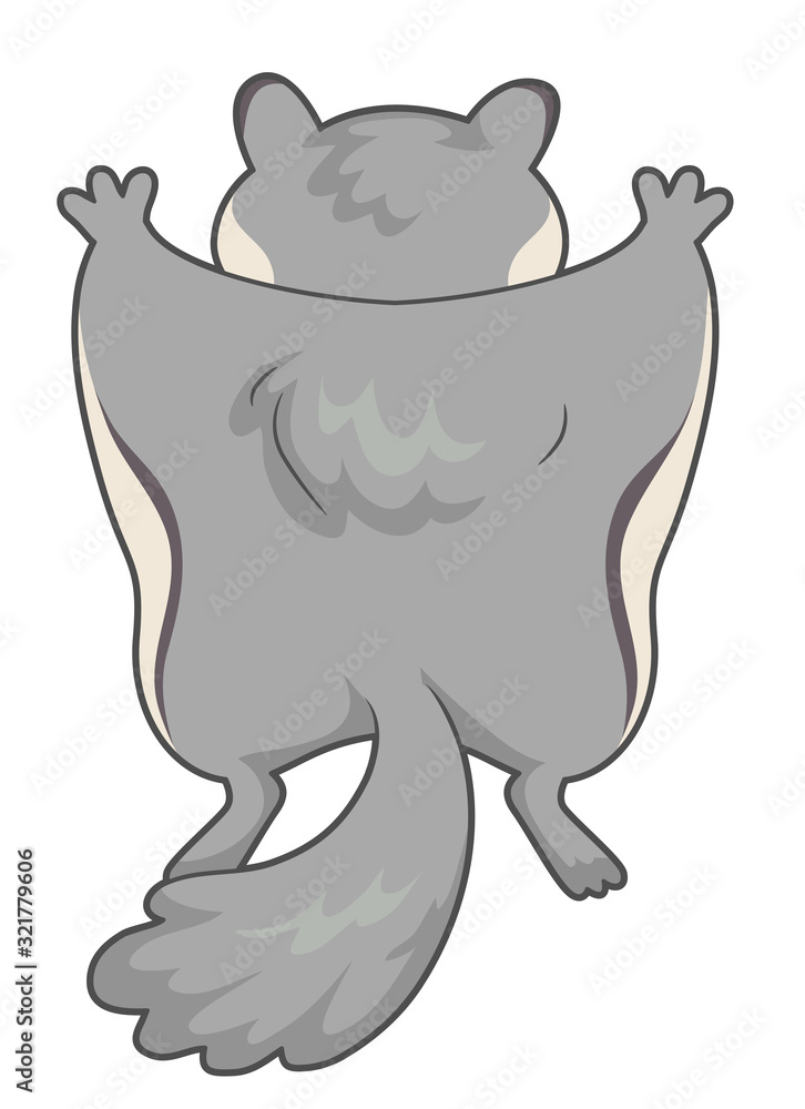 Flying Squirrel Back View Illustration Stock Vector | Adobe Stock
