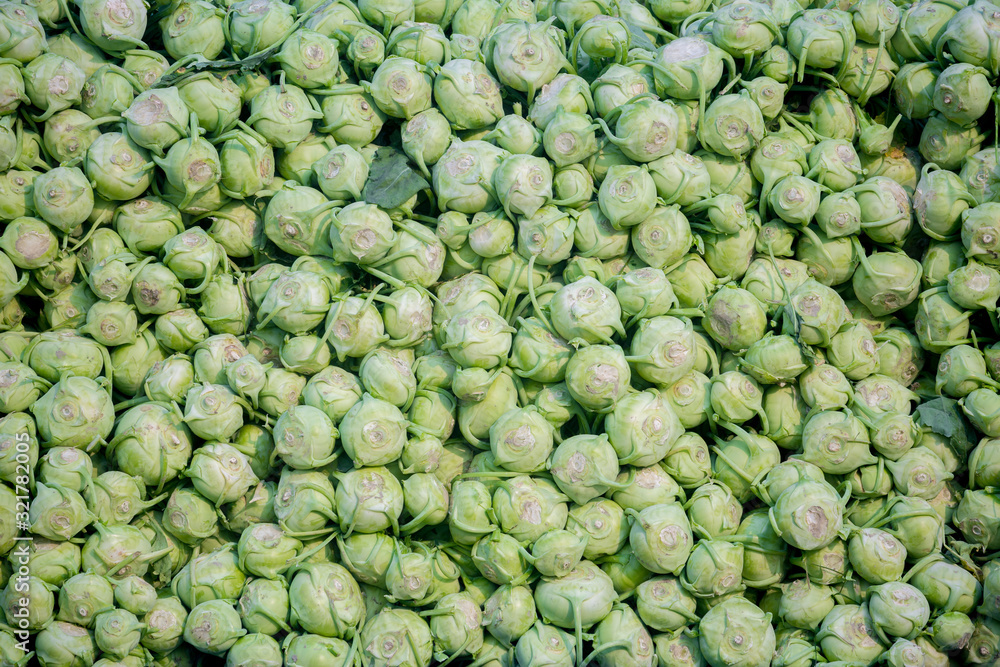 Kohlrabi cabbage vegetables have been arranged for export. Close-up ...