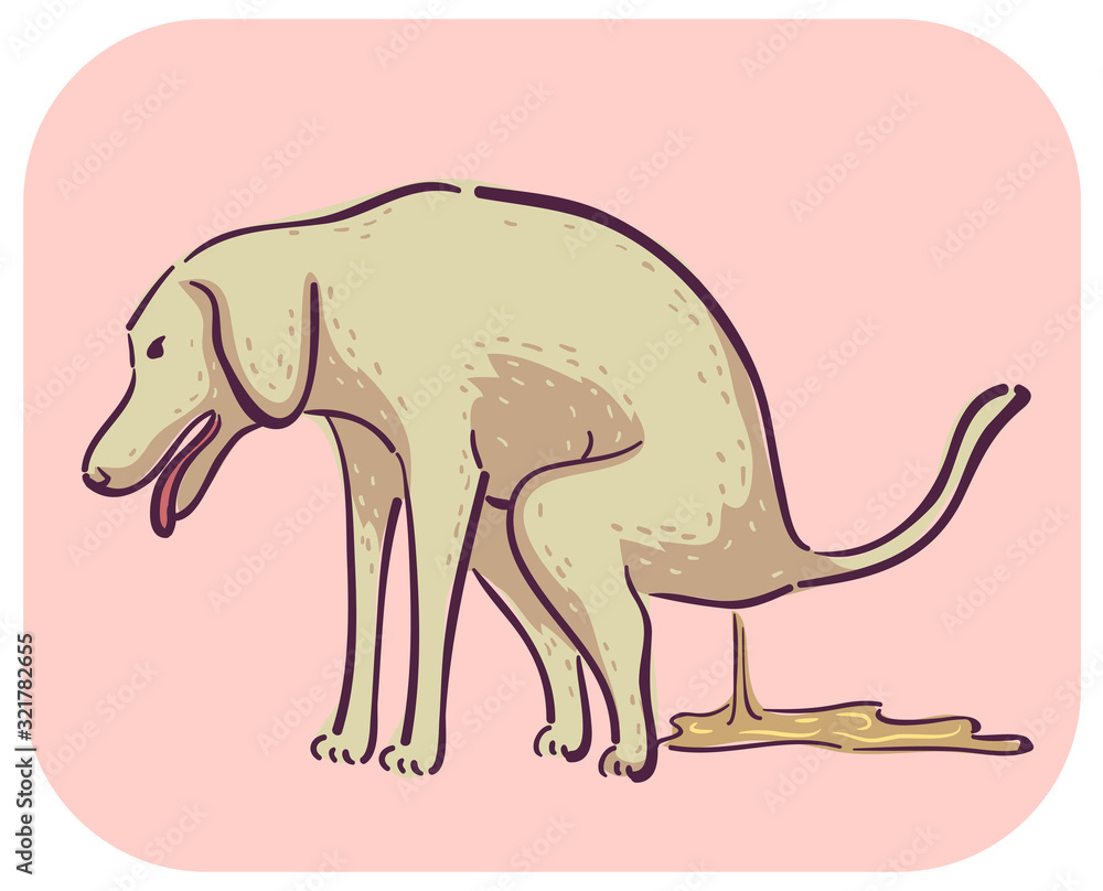 Dog Symptom Diarrhea Illustration Stock Vector | Adobe Stock