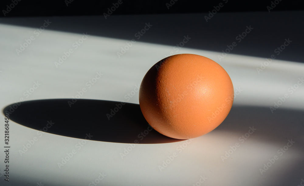 Chicken egg lit by the sun. The egg casts a deep shadow. Concept ...