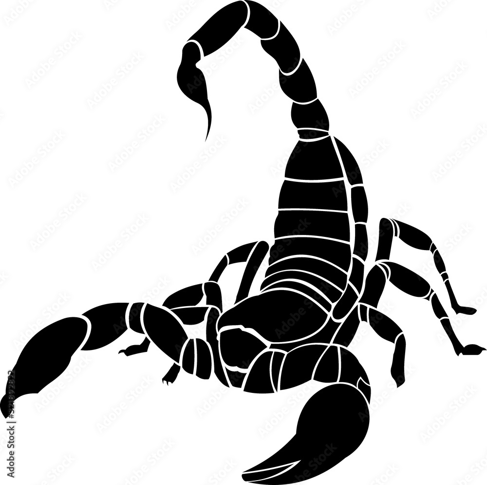 vector illustration of black color scorpion silhouette without ...