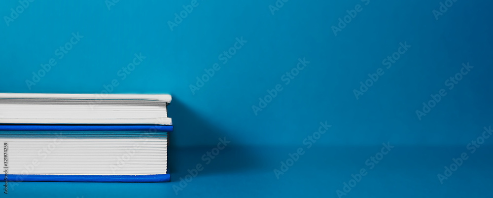 Banner for book advertising. Two hardcover books in blue and white with ...