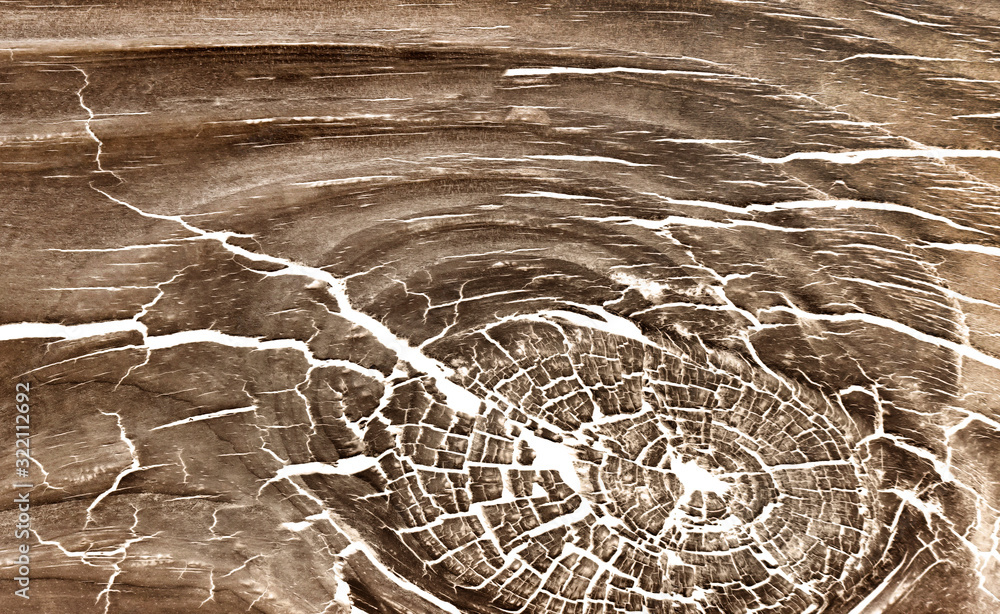 Rough splintered neutral reclaimed wood surface with aged boards lined ...